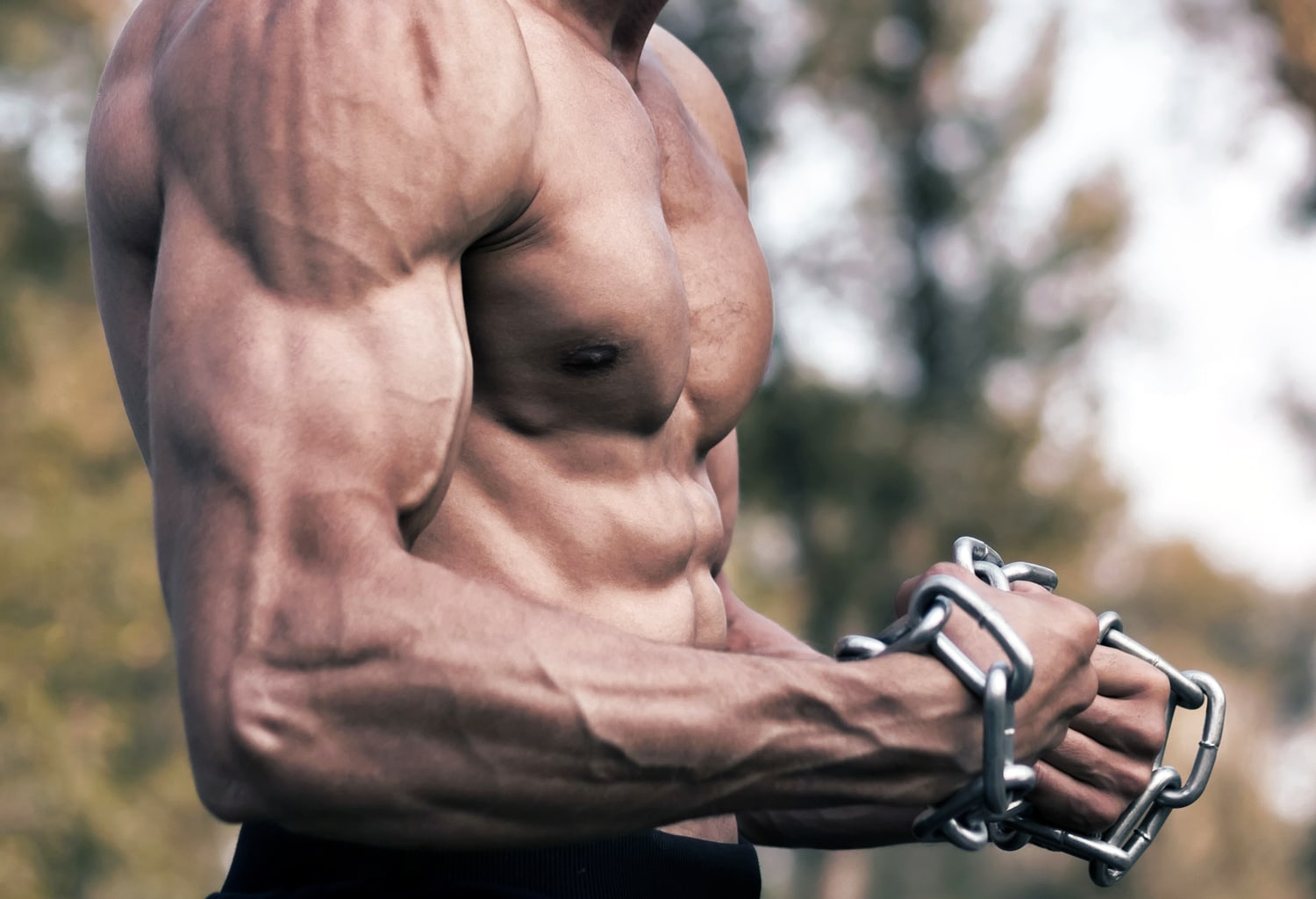 The 30-Day Forearm Challenge That Boosted My Grip Instantly – Fitness Volt