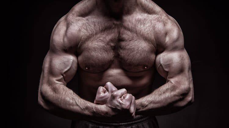 Top 5 Best Chest and Biceps Workout Routines — FitnessVolt.com