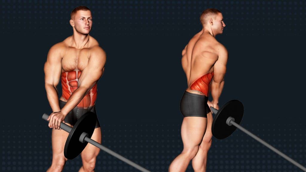 Effective Back Exercises for Strength and Development – Fitness Volt