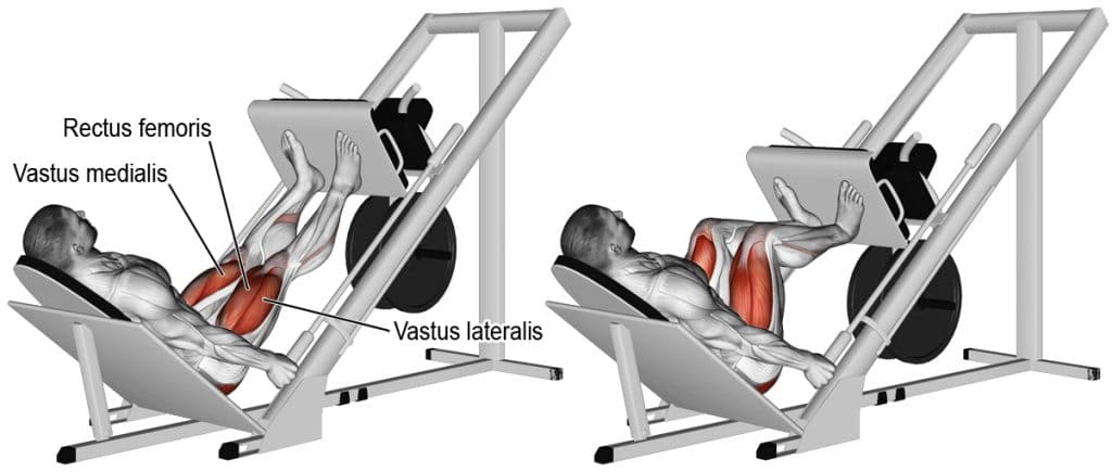 Different Leg Press Foot Placements Explained – Fitness Volt
