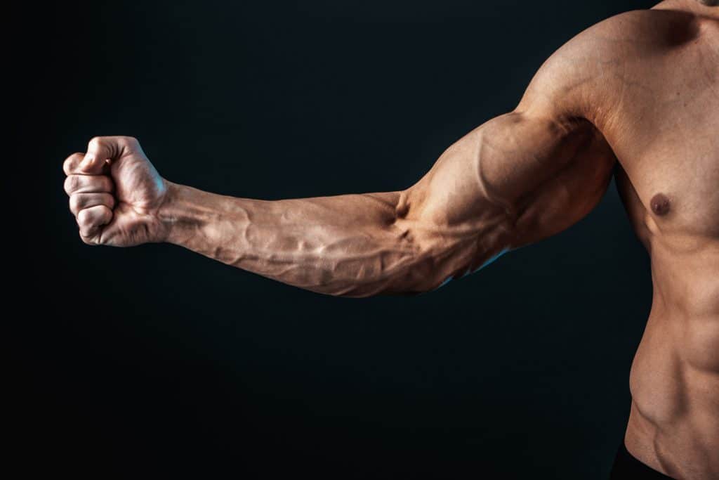 Skinny Forearms? Build Your Lower Arms with These 13 Exercises and ...