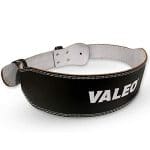 12 Best Powerlifting Belts of 2024 – Fitness Volt