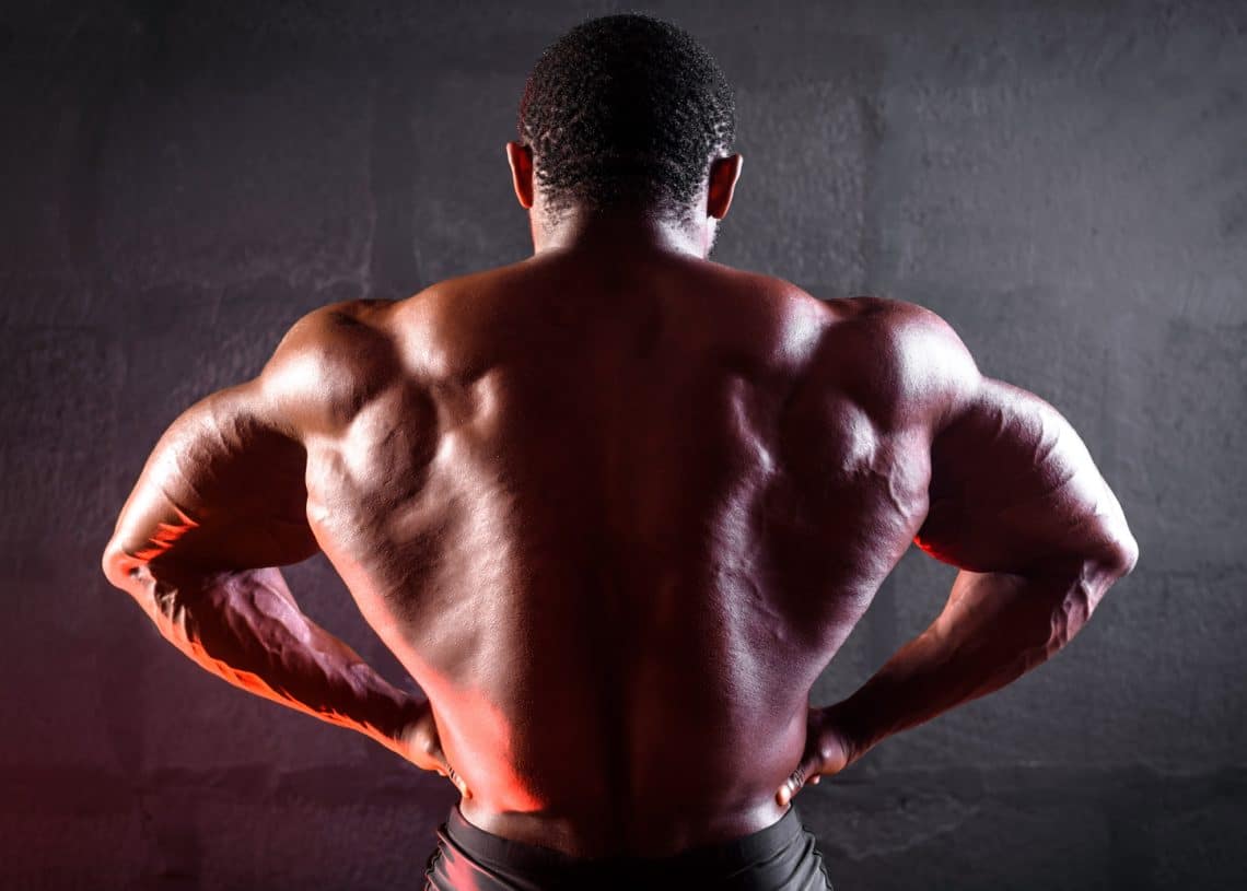 How to Build a Bigger Back From Top to Bottom – Fitness Volt