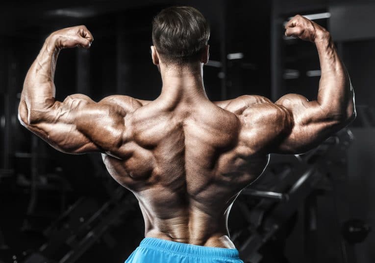 The Best 30-Minute Back Workout for Size and Strength – Fitness Volt