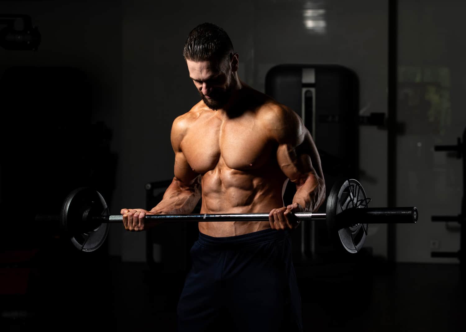 81 Best Isolation Exercises By Muscle Groups – Fitness Volt