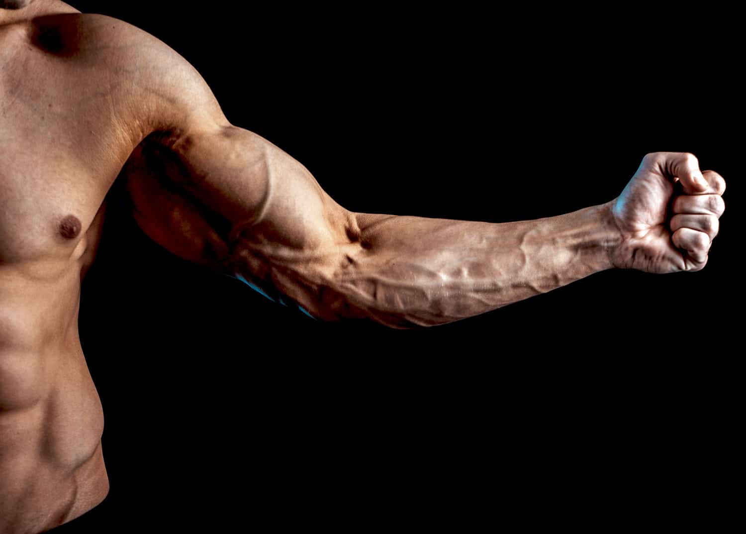 9 Best Dumbbell Forearm Exercises and Workouts – Fitness Volt