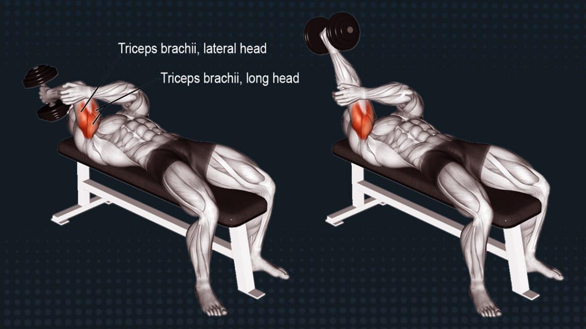 Effective Anconeus Exercises for Strength Training – Fitness Volt