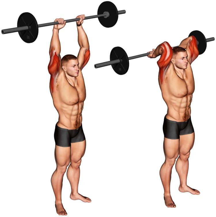 Standing Skull Crushers How To Benefits Muscles Worked Standing Skull Crushers How To Benefits Muscles Worked