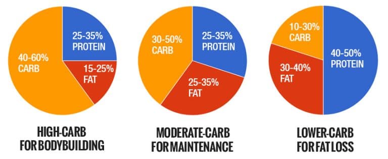 AMR (Active Metabolic Rate) Calculator – Fitness Volt