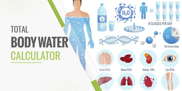 Fitness and Health Calculators – Fitness Volt