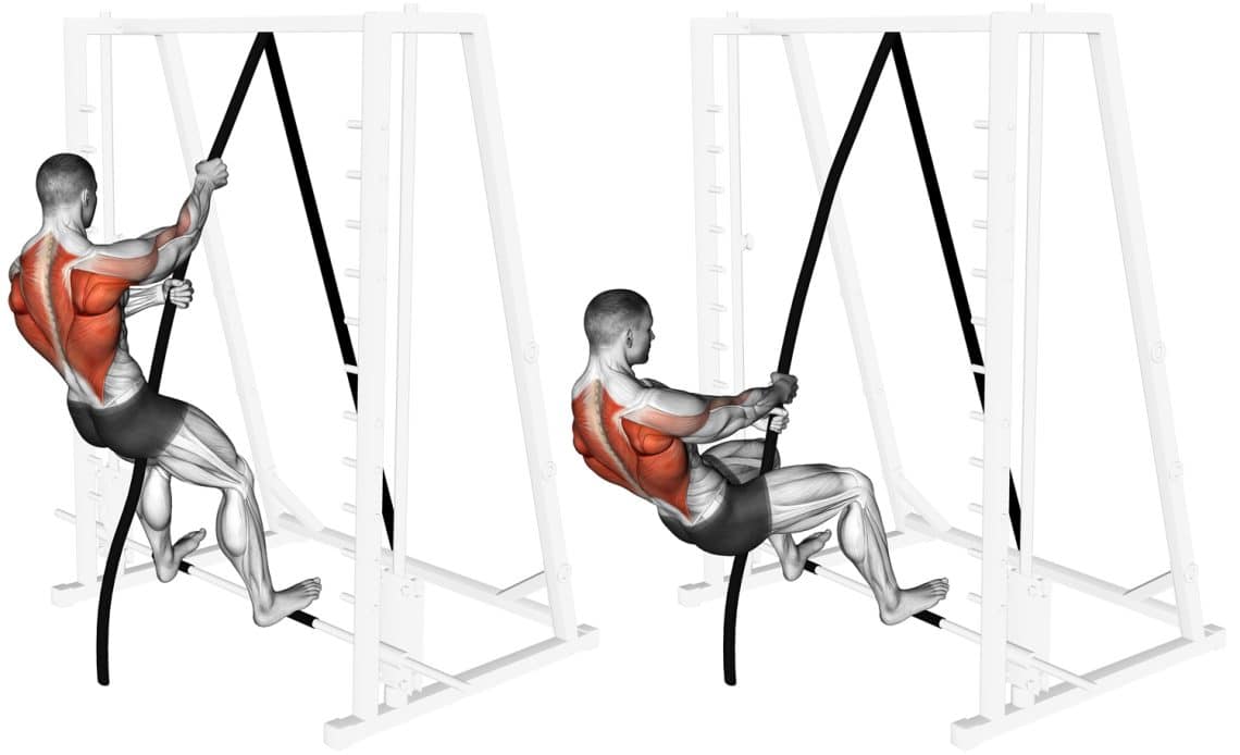 Master Rope Climbs for Total Upper Body Strength Gains – Fitness Volt