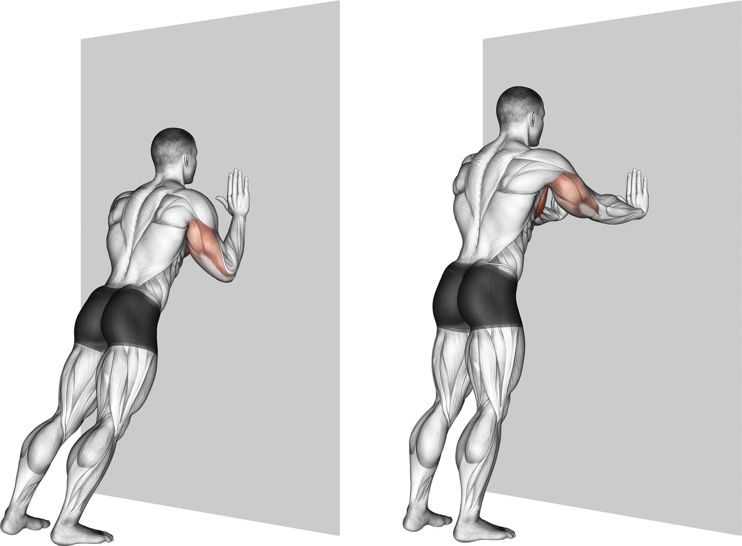 How To Do Wall Push Ups Muscles Worked Benefits And Alternatives How To Do Wall Push Ups Muscles Worked Benefits And Alternatives
