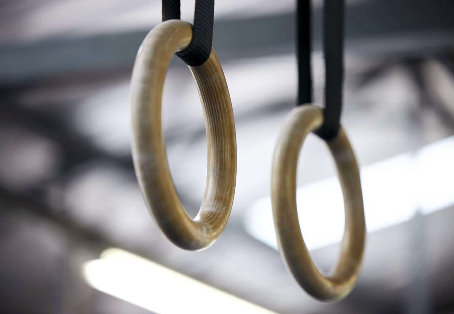 Gymnastic Rings – Benefits, Exercises, And Workout – Fitness Volt