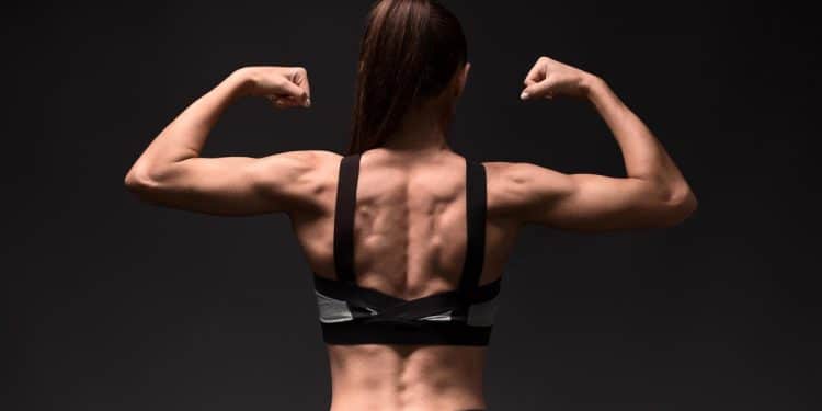 Triceps Bra Archives – Fitness Volt