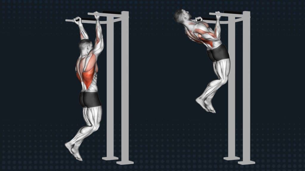 Powerful Forearm Flexor Exercises for Strength Training – Fitness Volt