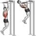 Master the Reverse Grip Pull-Up: Build Back & Arm Strength! – Fitness Volt