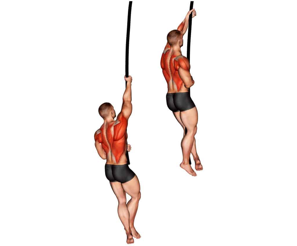 Master Rope Climbs for Total Upper Body Strength Gains – Fitness Volt