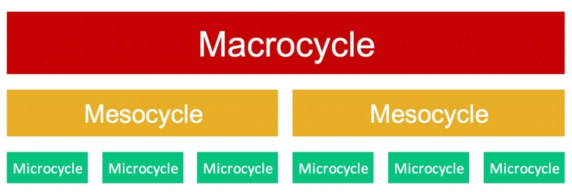 Daily Undulating Periodization: Does it Work for Hypertrophy? – Fitness ...