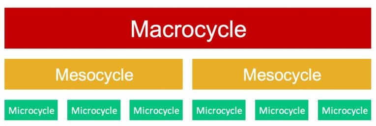 Periodization Training: Maximizing Your Bodybuilding Results – Fitness Volt