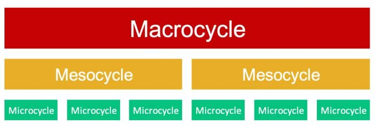 Periodization Training: Maximizing Your Bodybuilding Results – Fitness Volt