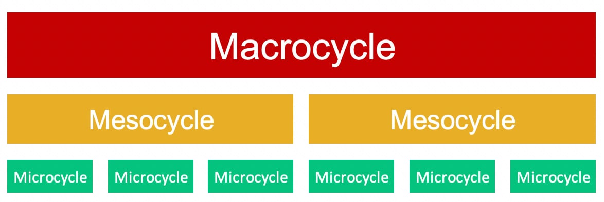 Periodization Training: Maximizing Your Bodybuilding Results – Fitness Volt
