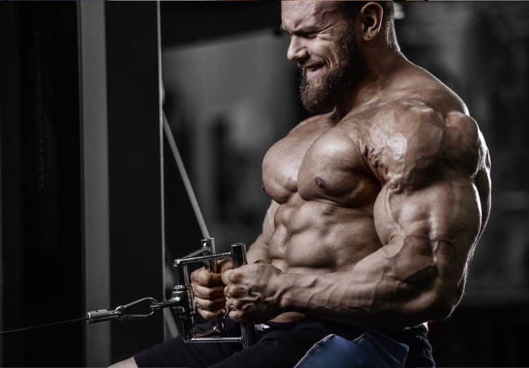 Daily Undulating Periodization: Does it Work for Hypertrophy? – Fitness ...