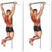 How To Do Scapular Pull-Ups - Tips, Benefits, Variations, Sets and Reps – Fitness Volt