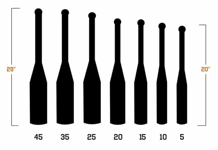 16 Different Types of Weights Used in Gyms – Fitness Volt