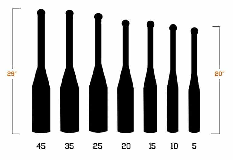 16 Different Types of Weights Used in Gyms – Fitness Volt