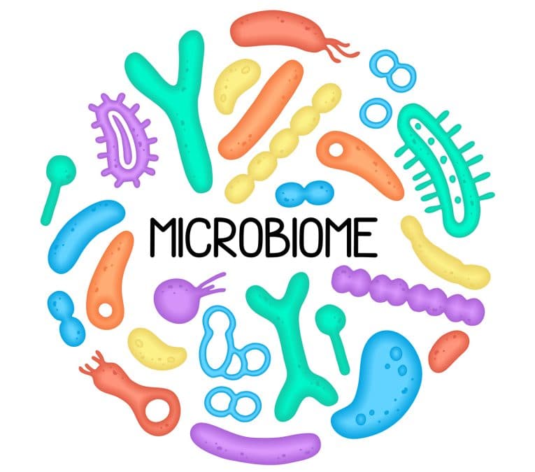 36-Hour Fast (Monk Fast): Meaning, Benefits, and How To – Fitness Volt