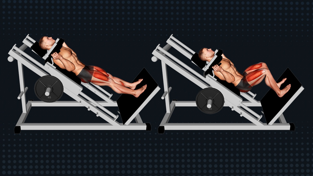 Sled Hack Squat Guide Tips Benefits Variations Programming And More Sled Hack Squat Guide Tips Benefits Variations Programming And More