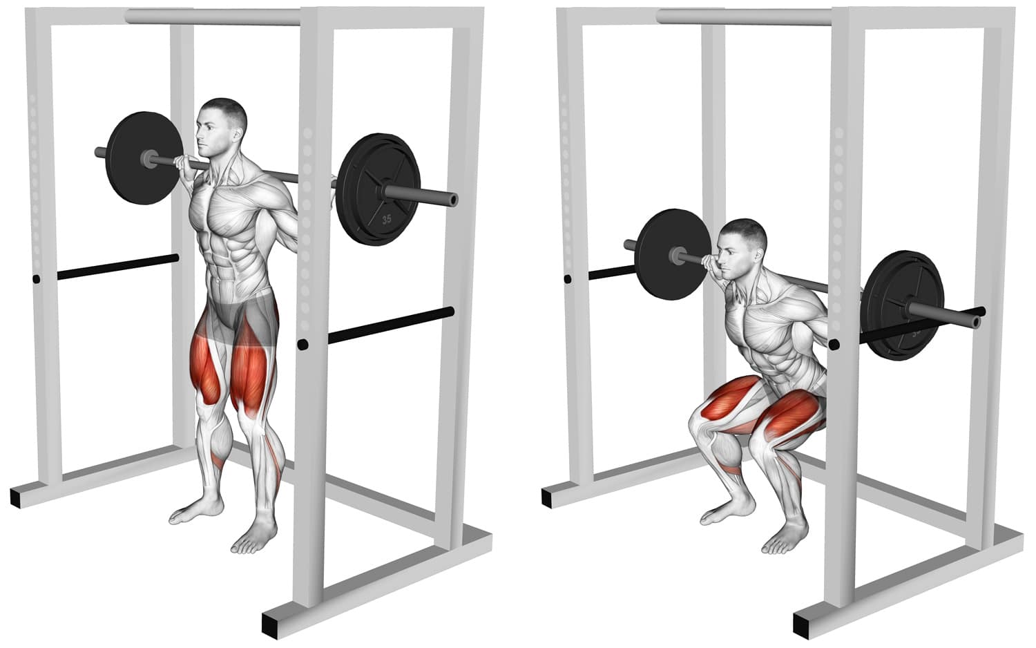 Pin Squat: Target Your Legs and Lower Back for Maximum Gains – Fitness Volt