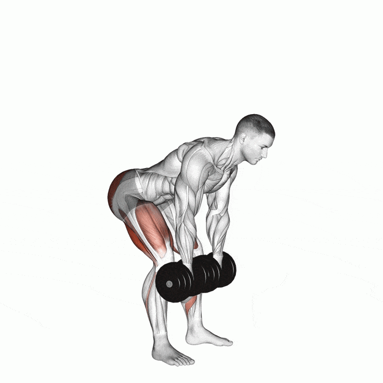 Romanian Dumbbell Deadlift: Target Hamstrings, Glutes & Core – Fitness Volt