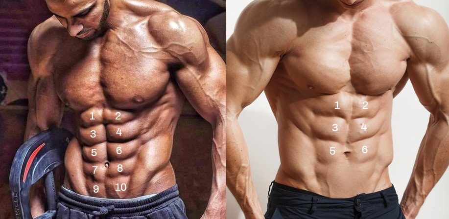 Is It Possible to Develop 10-Pack Abs? [Best Exercises Included]