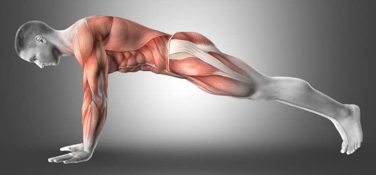 Reverse Push-Up Guide: How To, Benefits, Muscles Worked, Variations