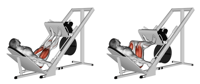 Hack Squat vs. Leg Press: Differences, Pros & Cons [ Ultimate Showdown]