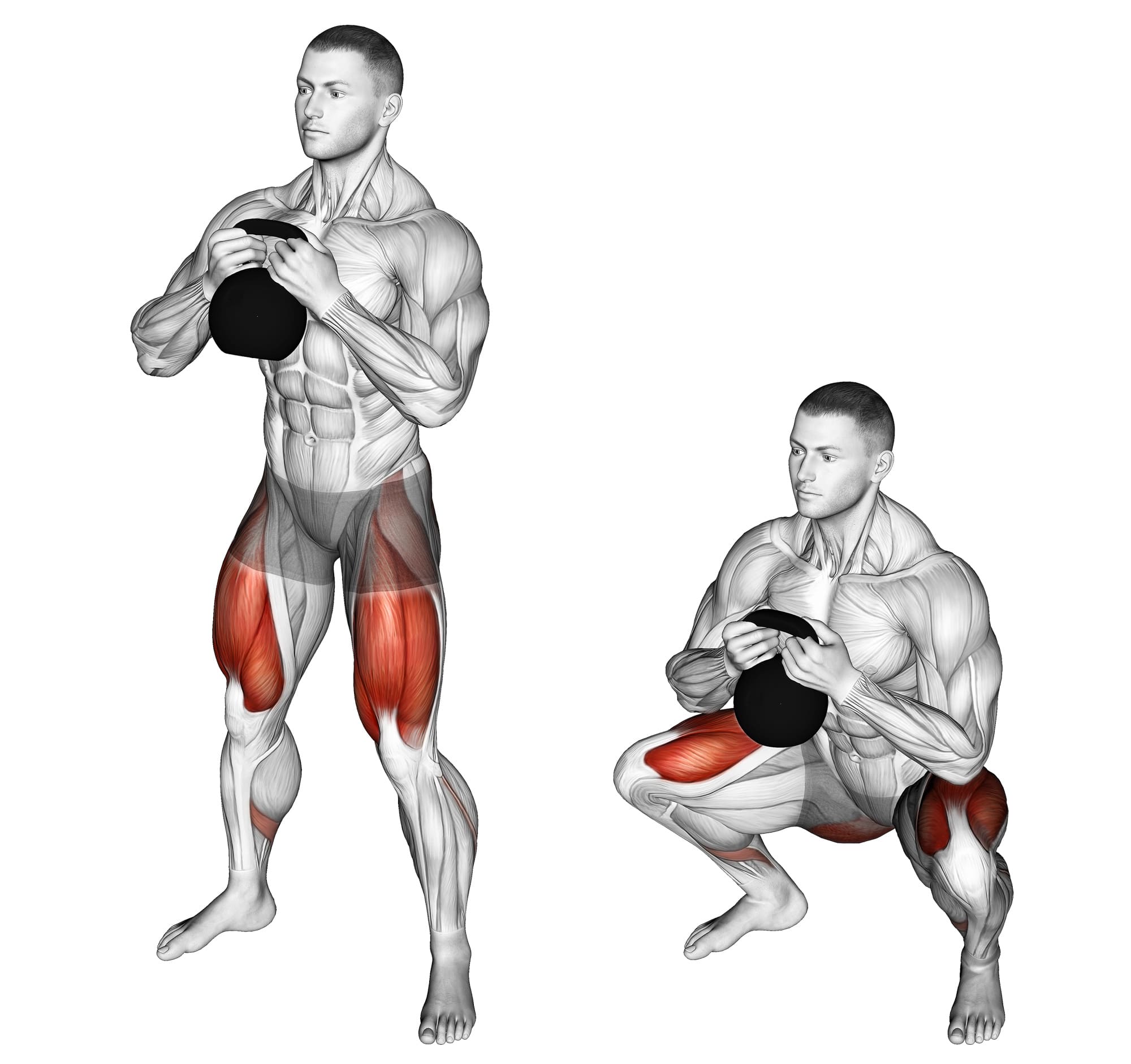 Sumo Kettlebell Muscles Worked Sumo Squat Exercice VKVC