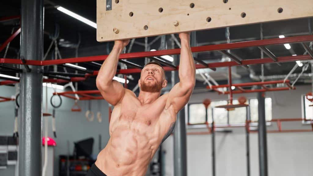 Ultimate Forearm Extensors Exercises for Strength Training – Fitness Volt