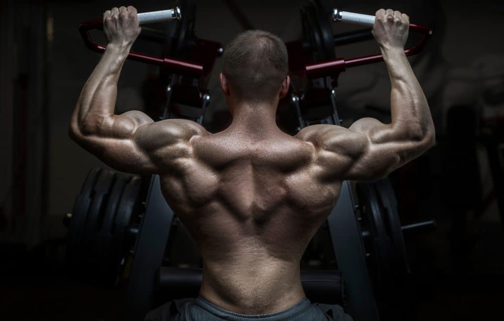 Back and Shoulder Workout for Mass and Strength