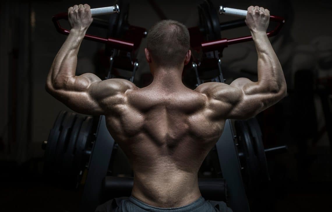 Back and Shoulder Workout for Mass and Strength