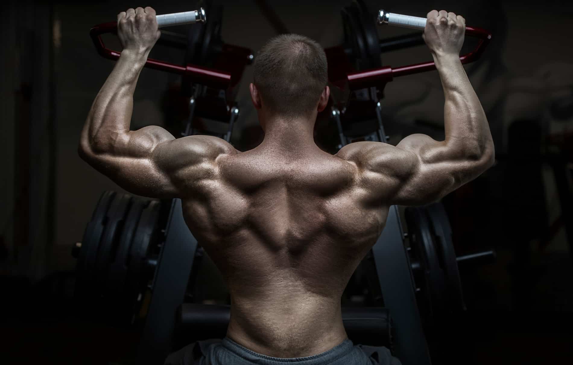 Back and Shoulder Workout for Mass and Strength