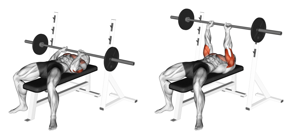 Six Different Bench Press Grips to Try – Fitness Volt