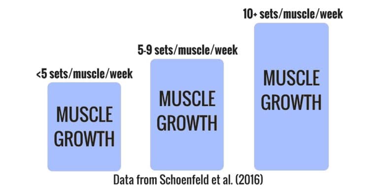 Once Per Week Training for Muscle Mass – Fitness Volt