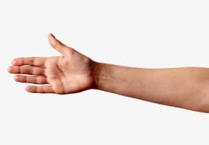 Average Wrist Size and Circumference for Males and Females – Fitness Volt