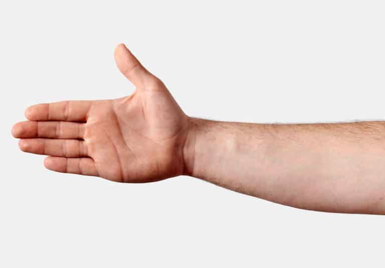 Average Wrist Size and Circumference for Males and Females – Fitness Volt