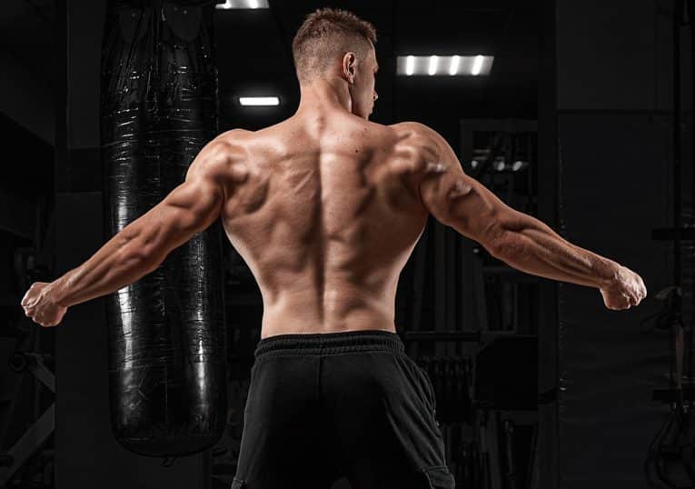 Bodybuilding School: How to Flex Your Triceps – Fitness Volt