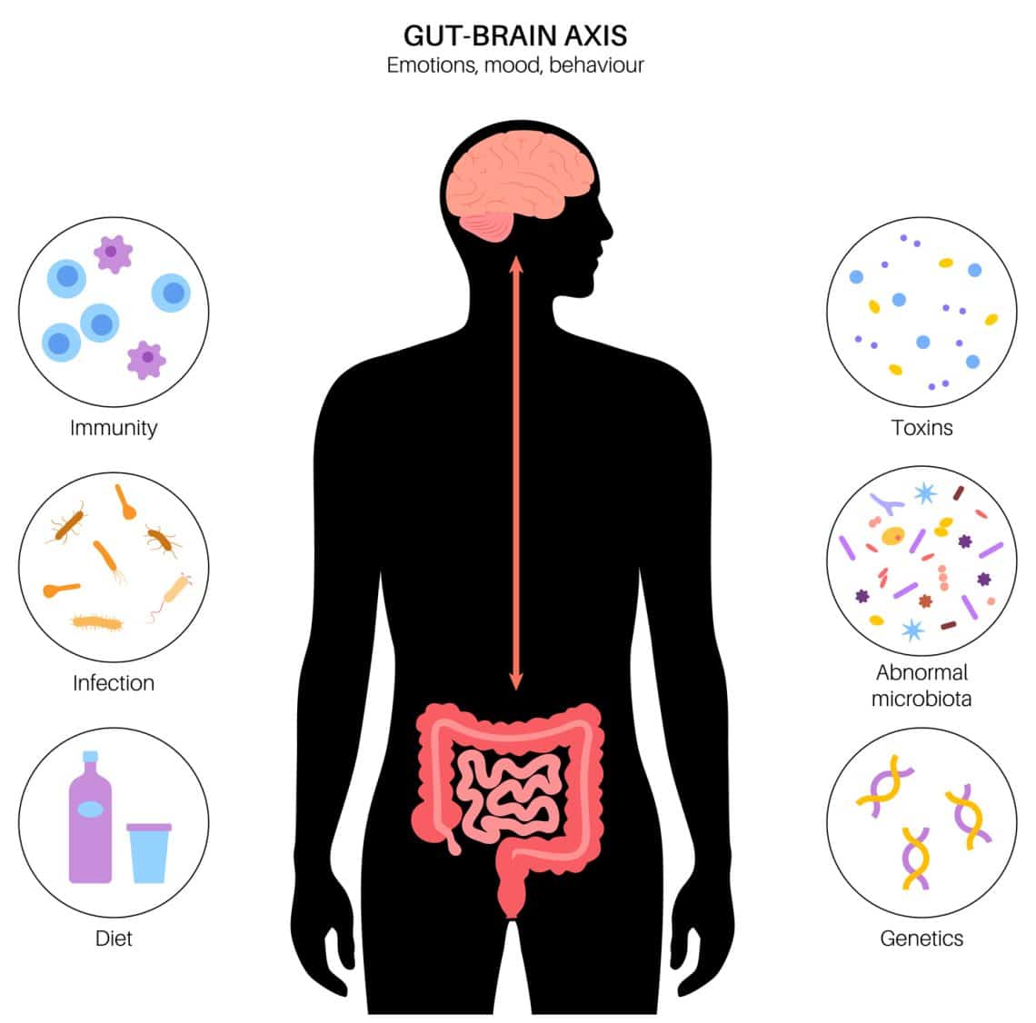 Intermittent Fasting and the Gut-Brain Connection: Unlocking the ...