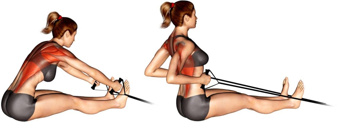 Band Seated Row: Target Your Back Muscles for Maximum Gains – Fitness Volt