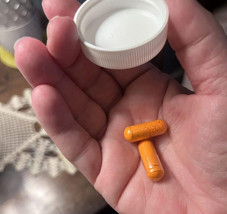 Provitalize Review — The Best Probiotic Supplement? – Fitness Volt