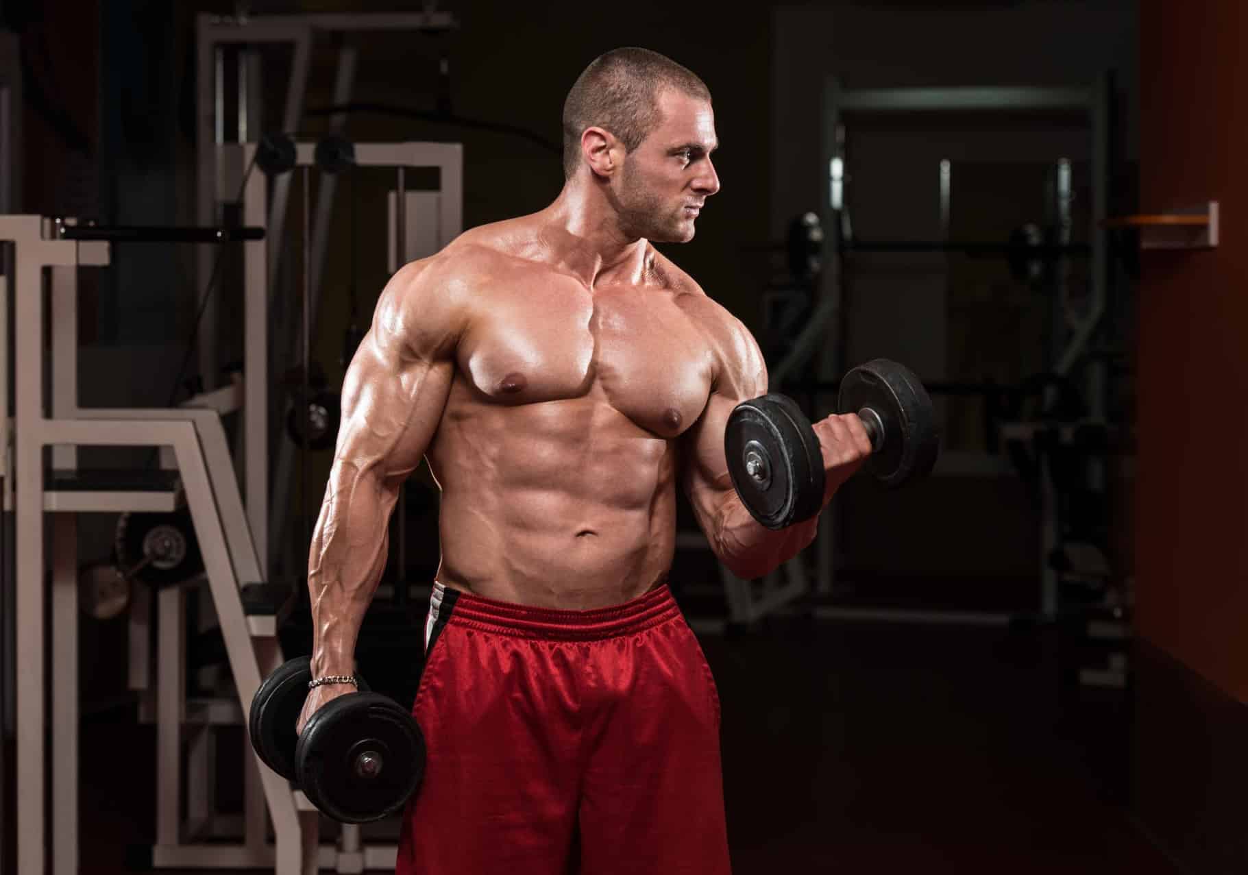 Negative Bicep Curls: The Ultimate Guide — FitnessVolt.com